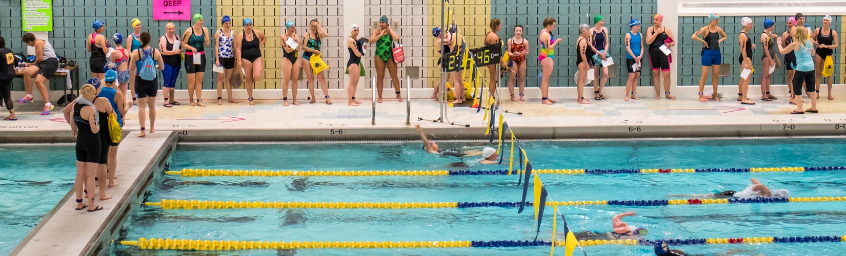 Swimming with my Friends